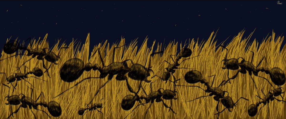 a tale as old as time - Culturala