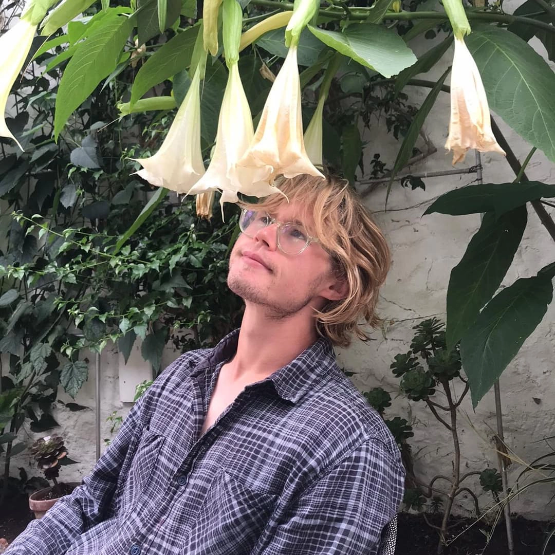 Daniel Matthews - Culturala